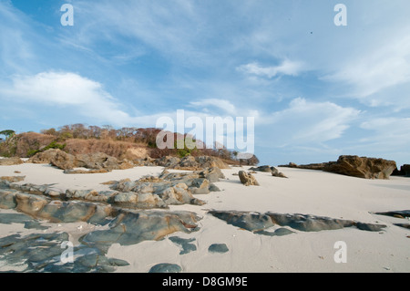 Low tide in the beach at Isla Pacheca shore Stock Photo - Alamy