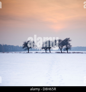 A scenic shot of forest, snow fields, and mountains during winter Stock ...