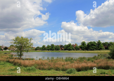Rushmere Pond on Wimbledon Common, SW London England UK Stock Photo - Alamy