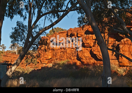 DURBA SPRING, CANNING STOCK ROUTE, WESTERN AUSTRALIA, AUSTRALIA Stock ...
