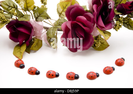 Ladybug and roses Stock Photo - Alamy