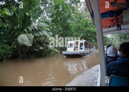 By Lancha and Boat along the Tortuguero Canal, Tortuguero National Park ...