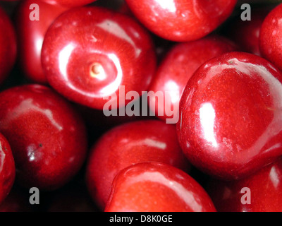 The red cherries are shown, highlighting their vibrant color and sweet ...