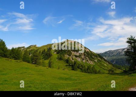 The Tauplitzalm, mountain pasture, high plateau in Styria, near Bad ...