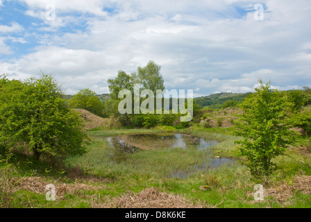Pool at Barkbooth Lot, a Cumbria Wildlife Trust nature reserve, near ...