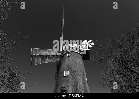 Summer, Buttrum's Mill, restored windmill, Woodbridge town, Suffolk ...