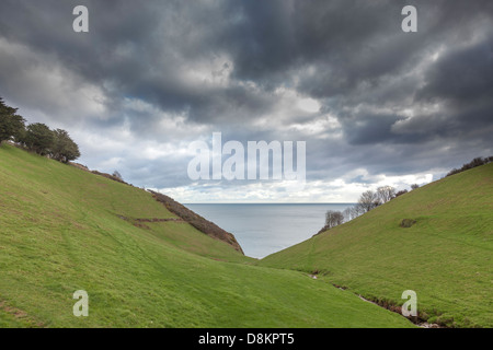 Steep V shaped river valley with the sea beyond and a wind battered fir ...