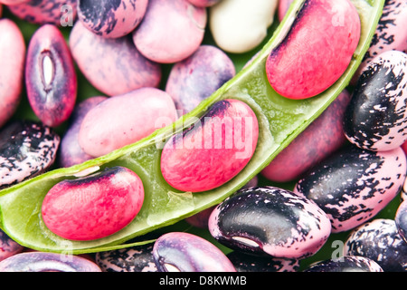 string bean , focus on a center Stock Photo - Alamy