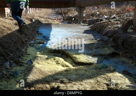 A badly polluted ditch between a Monosodium Glutamate Factory and a ...