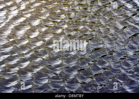 ripples on lake water caused by wind Stock Photo - Alamy