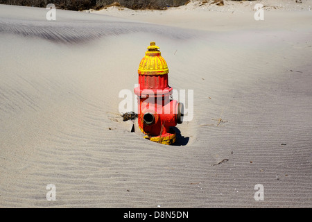 Fire Hydrant buried in the sand and brush Stock Photo - Alamy