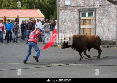 Bullfight at Santo Amaro Parish - São Jorge island - Azores Stock Photo ...