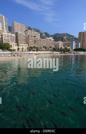 The Larvotto beach of Monaco Stock Photo - Alamy