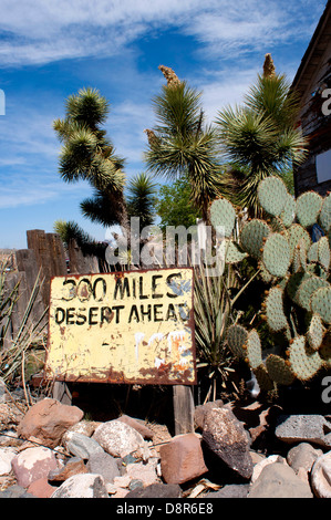 USA, Arizona, route 66, cactus by the roadside Stock Photo - Alamy