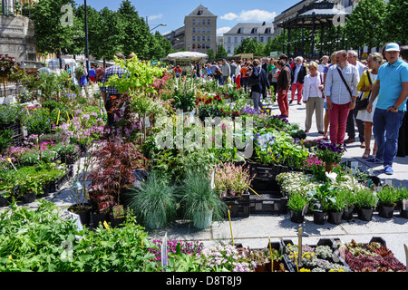Kouter flower market in Ghent, Belgium, Europe Stock Photo - Alamy