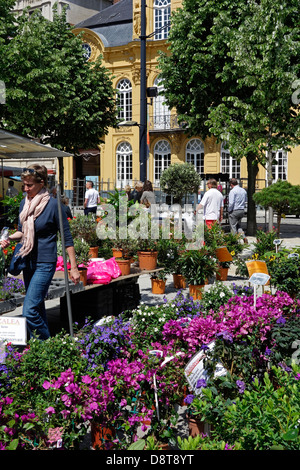 Kouter flower market in Ghent, Belgium, Europe Stock Photo - Alamy
