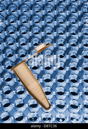 Dna test in the lab. Test tubes with biomaterials in the hands of a ...