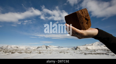 Traditional Icelandic bread cooked underground in geothermal hot ...