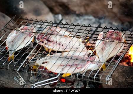 fish roasted on the fire with fresh tomatoes, lemon and dill Stock ...
