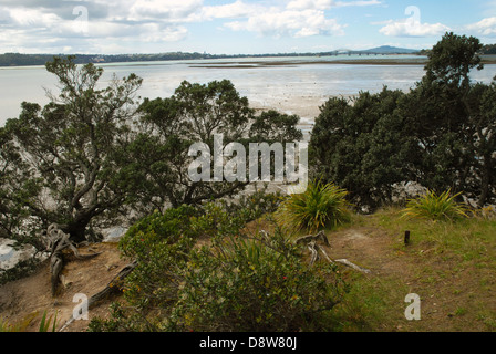 Beach at Kauri Point Centennial Park, Auckland, New Zealand Stock Photo ...