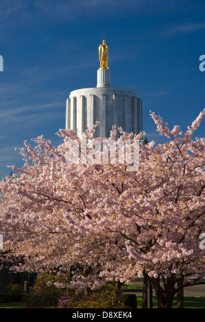 Cherry tree bloom with State Capitol, State Capitol State Park, Salem ...