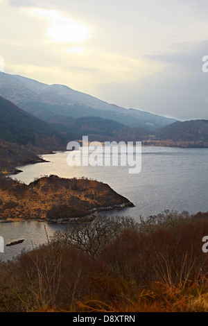Forestry at Polloch and Loch Shiel Stock Photo - Alamy