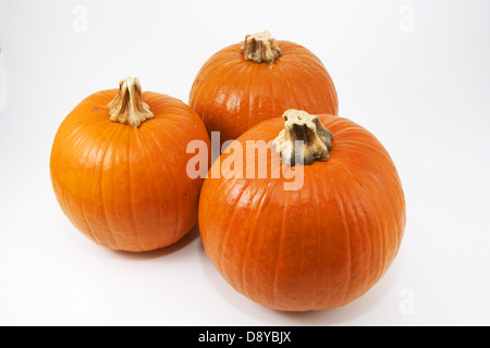 Three high resolution pumpkins isolated on a white background Stock ...