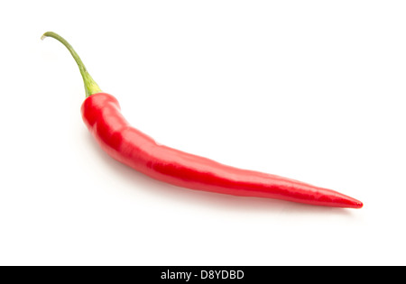 Single chili pepper isolated on white background. Chili hot pepper ...