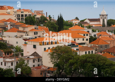 Rooftops of Funchal, Madeira Stock Photo - Alamy