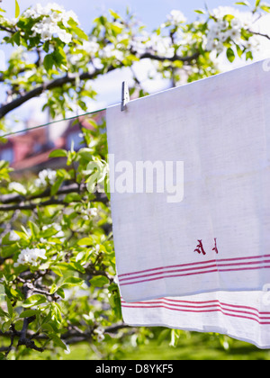 Towel on a clothes line, Sweden Stock Photo - Alamy