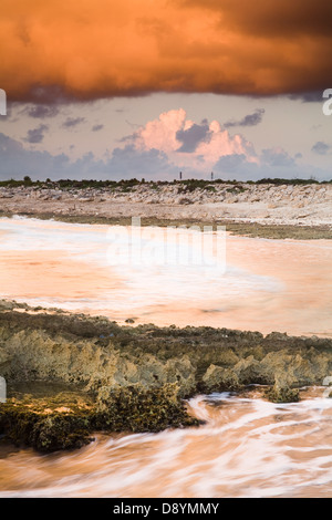 Rising Tropical Sun Stock Photo - Alamy