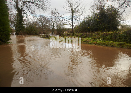 Flooding near Rewe, Exeter, Devon, UK, where the River Culm burst its ...