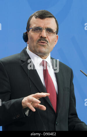 Berlin, Germany. 7th June 2013. The young Java leopard "Timang" was ...