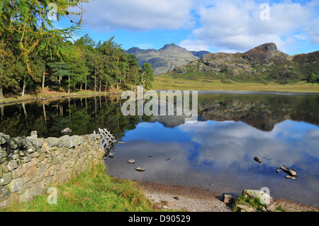 Blea Tarn Walk, Lake District National Park, England, UK. From Great ...