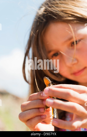 Wild lizard in hand on white background, caught on the beach in Sharm ...
