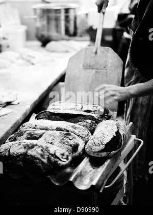 Newly-baked bread in a bakery Stock Photo - Alamy