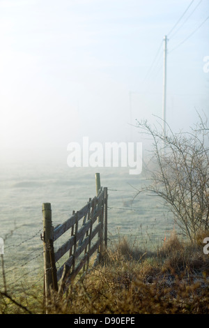 A hazy landscape, Sweden Stock Photo - Alamy