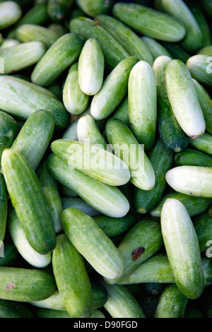 Cucumbers for sale Stock Photo - Alamy