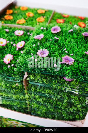 Close-up of artificial green grass turf with dense plastic fibers and ...
