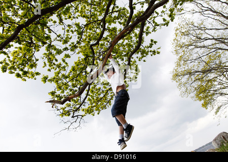 Boy hanging from a tree branch in a summer garden Stock Photo - Alamy