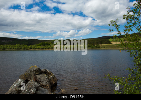 LOCH RUTHVEN HAUNT OF THE SLAVONIAN GREBE INVERNESSHIRE SCOTLAND Stock ...