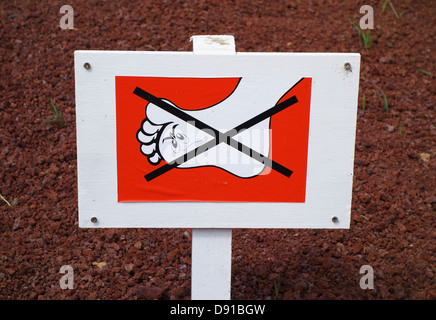 no bare-feet, sign Stock Vector Art & Illustration, Vector Image ...