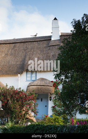 Thatched cob cottage. Ringmore, Devon, England Stock Photo - Alamy