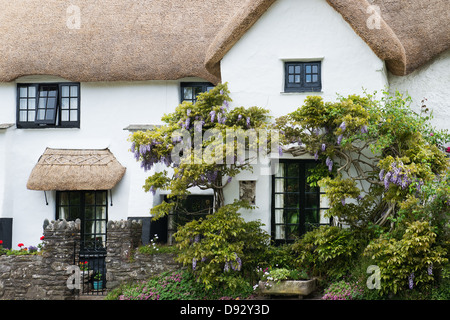 Thatched cob cottage. Kingston, Devon, England Stock Photo: 57228167 ...