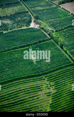 Aerial view of a plantation, Sweden Stock Photo - Alamy
