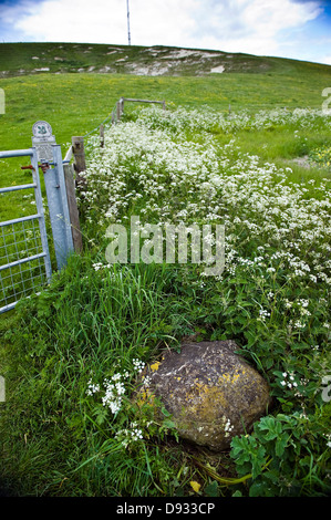 Chillerton Down on the Isle of Wight, UK Stock Photo - Alamy