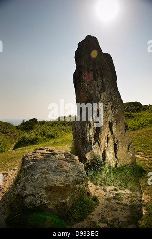 The Long Stone UK England Isle of Wight Mottestone Standing Stone ...
