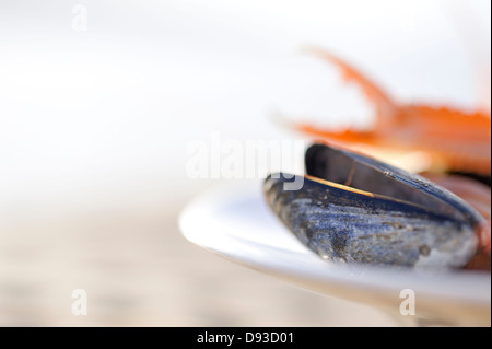 Clam, Bohuslan, Sweden Stock Photo - Alamy