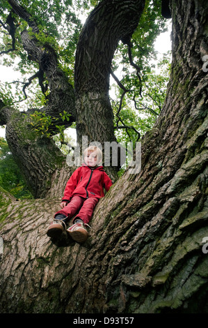 Boy sitting on trunk of oak tree Stock Photo - Alamy