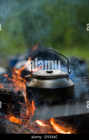 The image of logs in the burning fire. Flame of the burning fire. The ...
